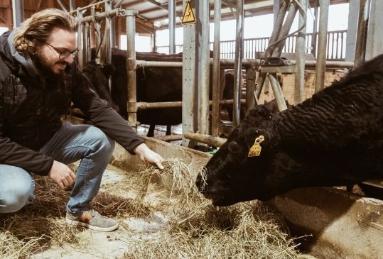 Wagyu Rind Portrait: Fleisch wie kein anderes! | Fitmeat